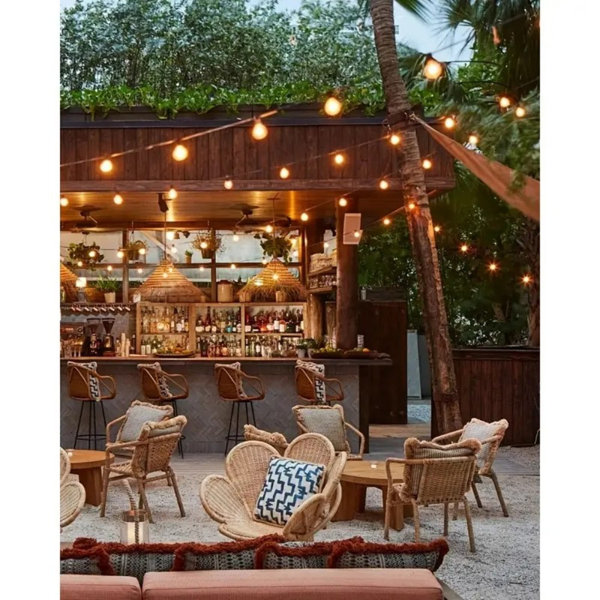 String Lights You'll Love - Wayfair Canada